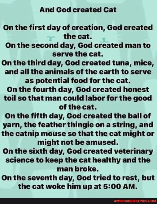 And God created Cat On the first day of creation, God created the cat ...