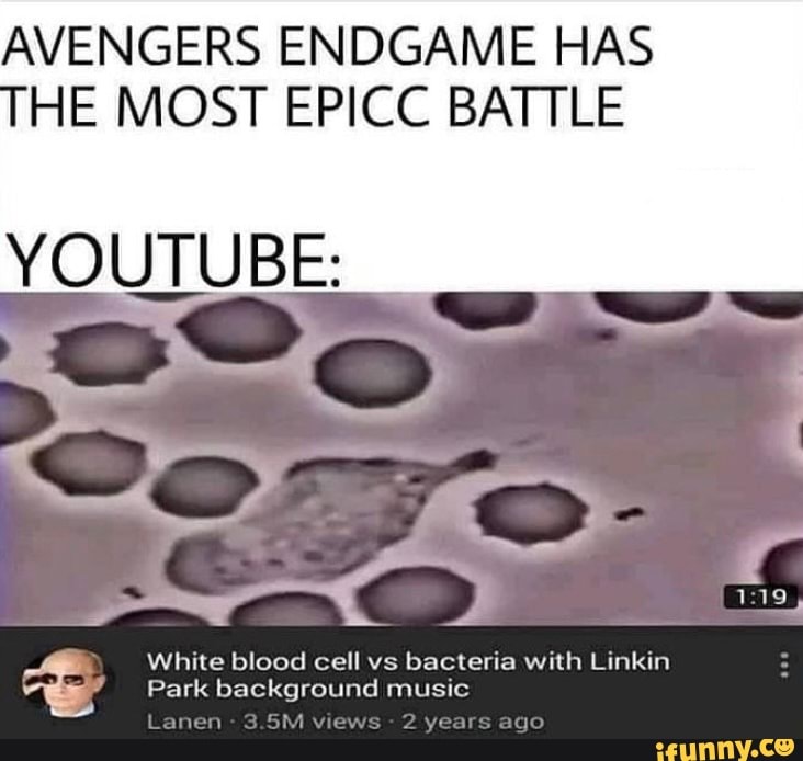 Microbio memes. Best Collection of funny Microbio pictures on iFunny