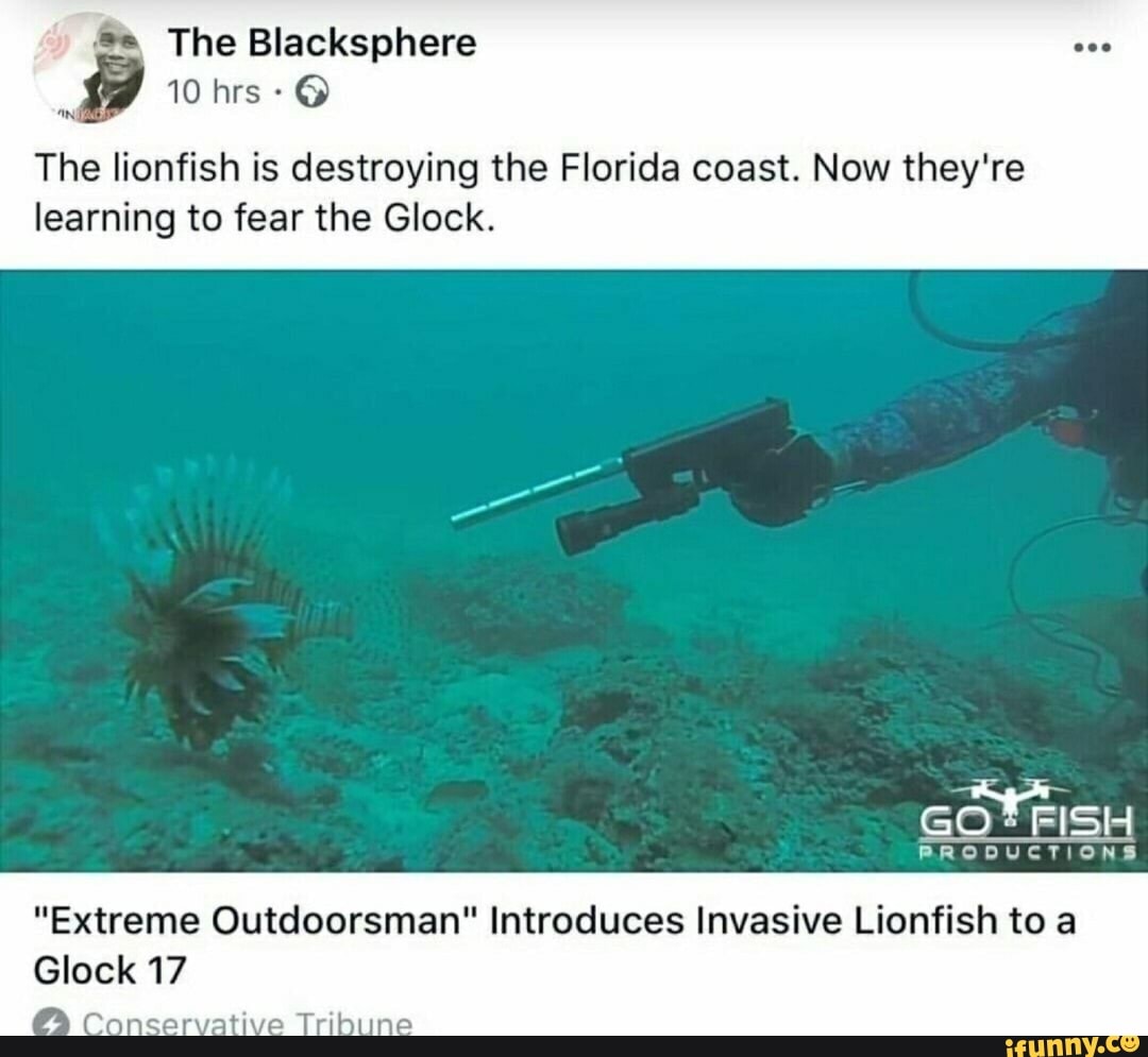 The lionfish is destroying the Florida coast. Now they're learning to ...