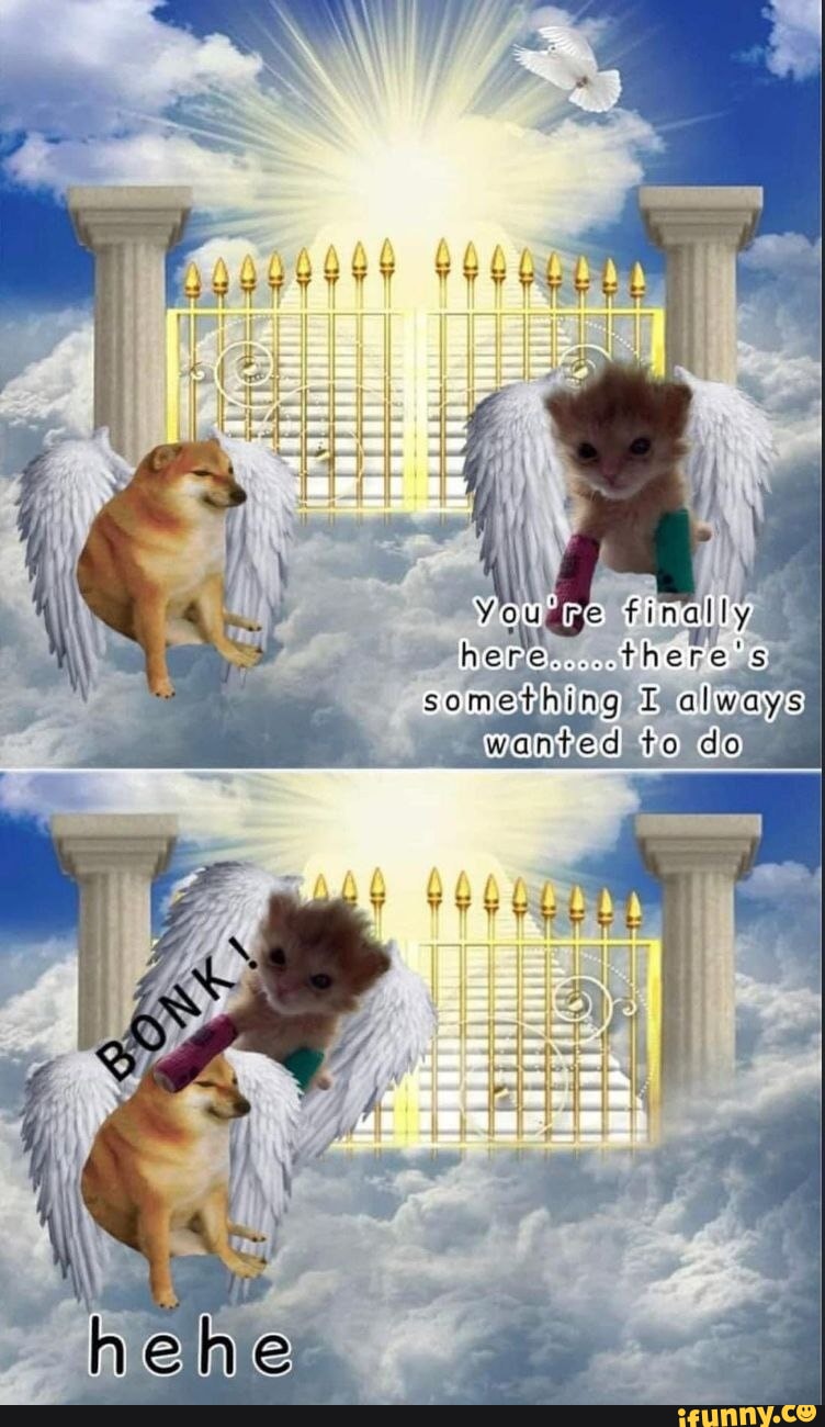 Cats are the best by Mista_Twizzla MORE MEMES - THE DODO 2 MIN READ Cat ...