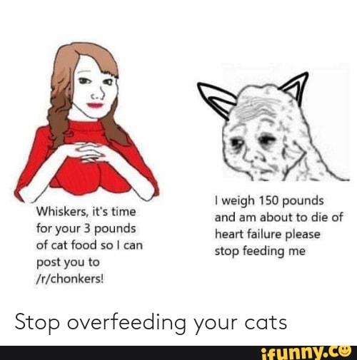 For your 3 pounds of cat food so I can post you to heart failure please ...