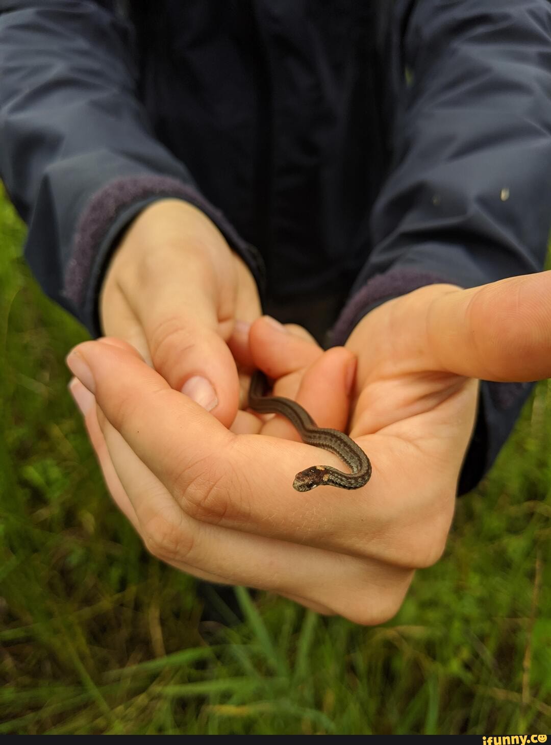 Fieldwork memes. Best Collection of funny Fieldwork pictures on iFunny