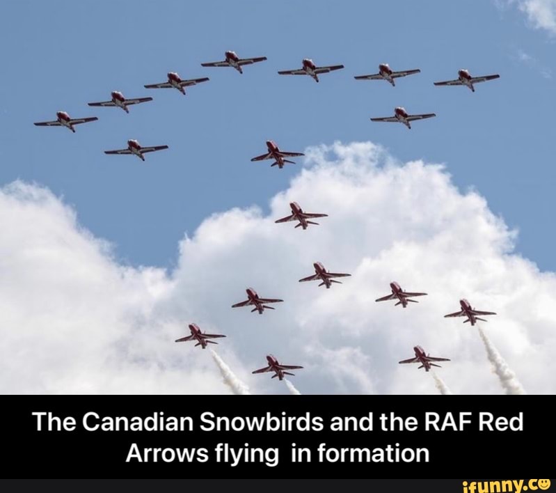 Redarrows memes. Best Collection of funny Redarrows pictures on iFunny