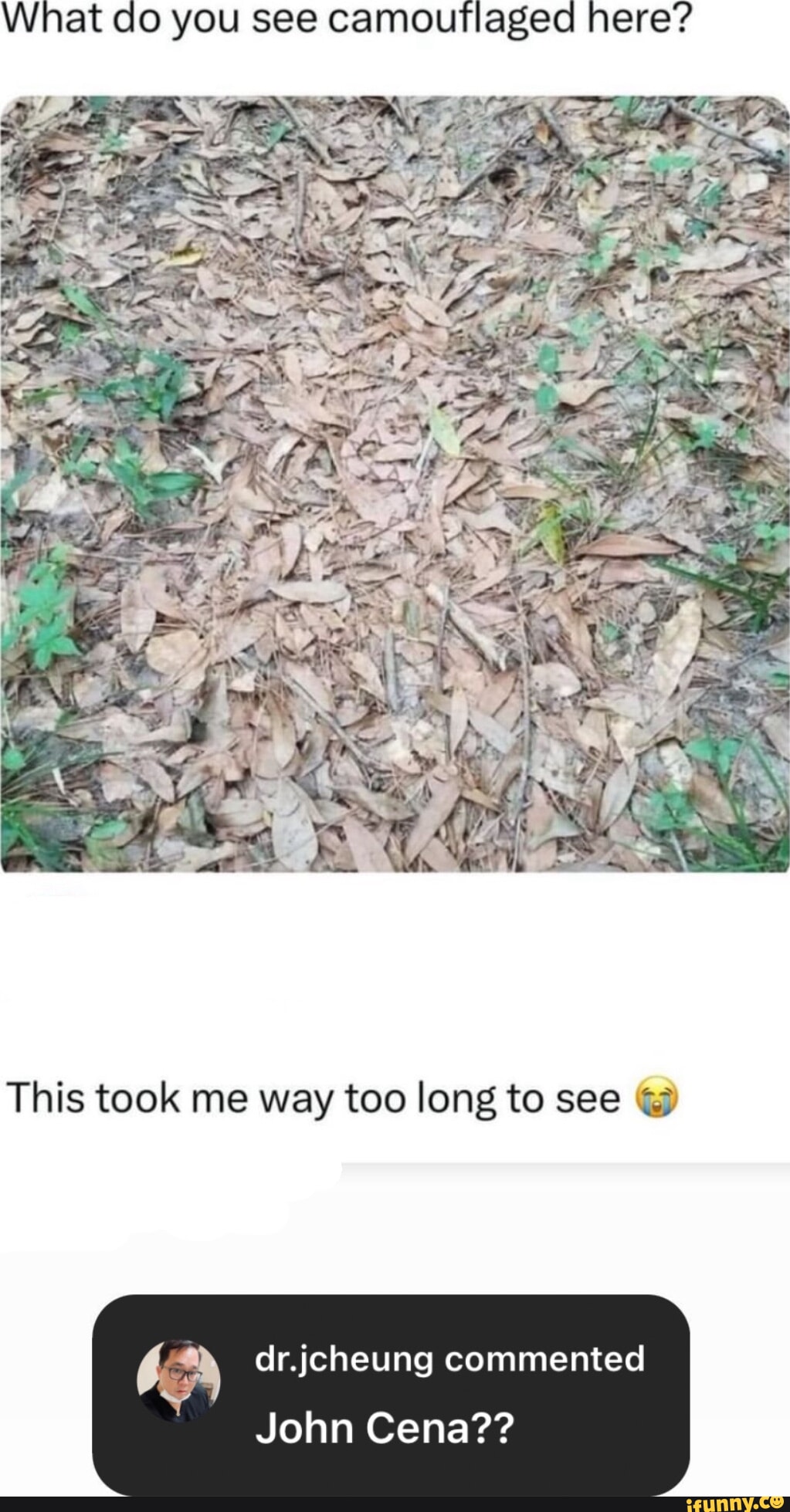 What do you see camouflaged here? SS This took me way too long to see dr.jcheung commented John ...