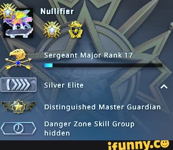 Pe Sergeant Major Rank 17 Distinguished Master Guardian Danger Zone ...