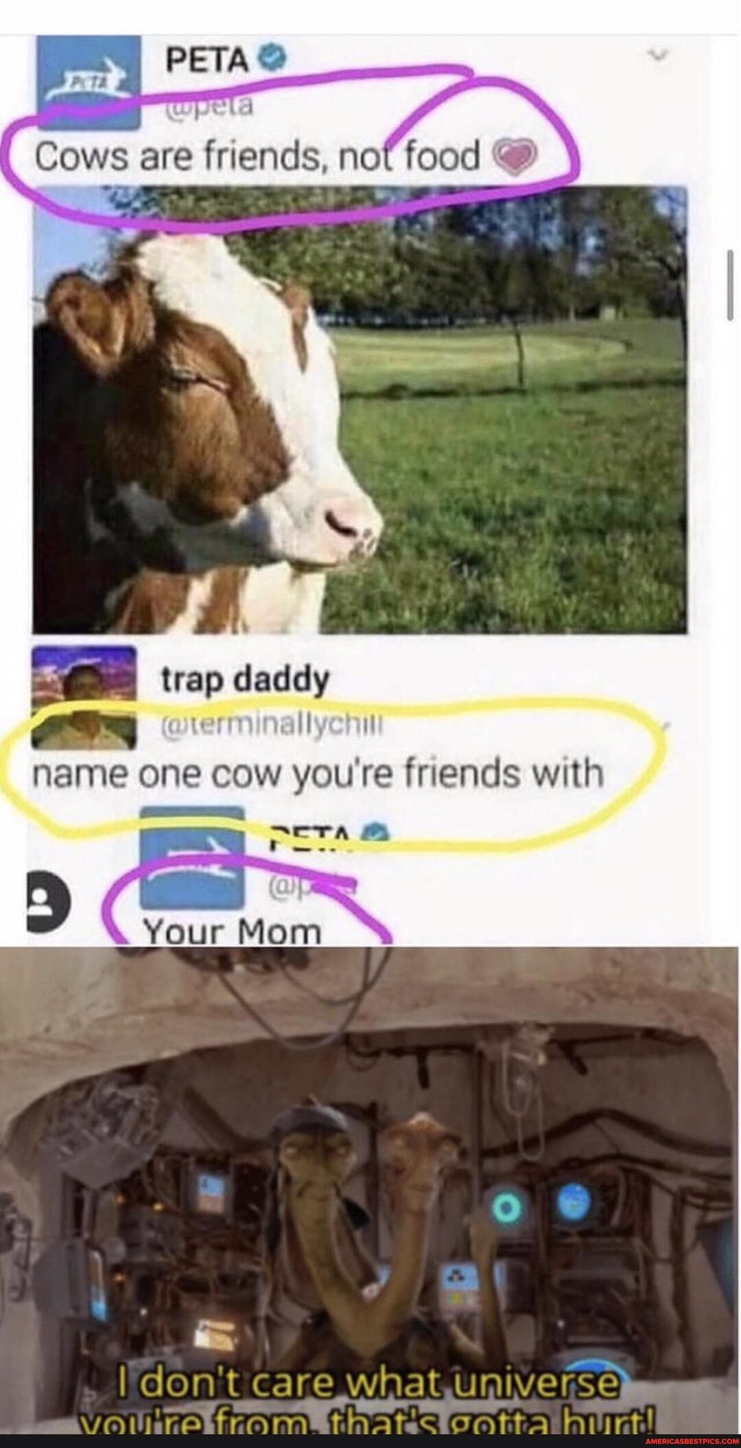 PETA Cows are friends, not food @ = trap daddy name one cow you're ...