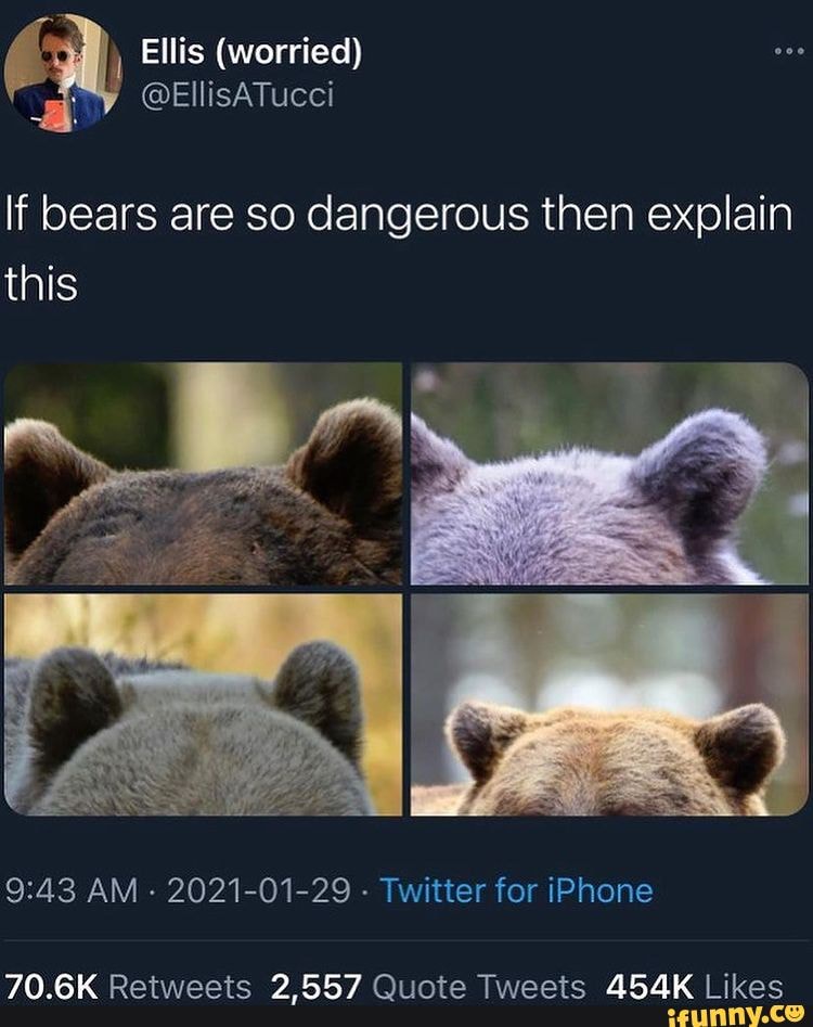 Ellis (worried) @EllisATucci If bears are so dangerous then explain ...