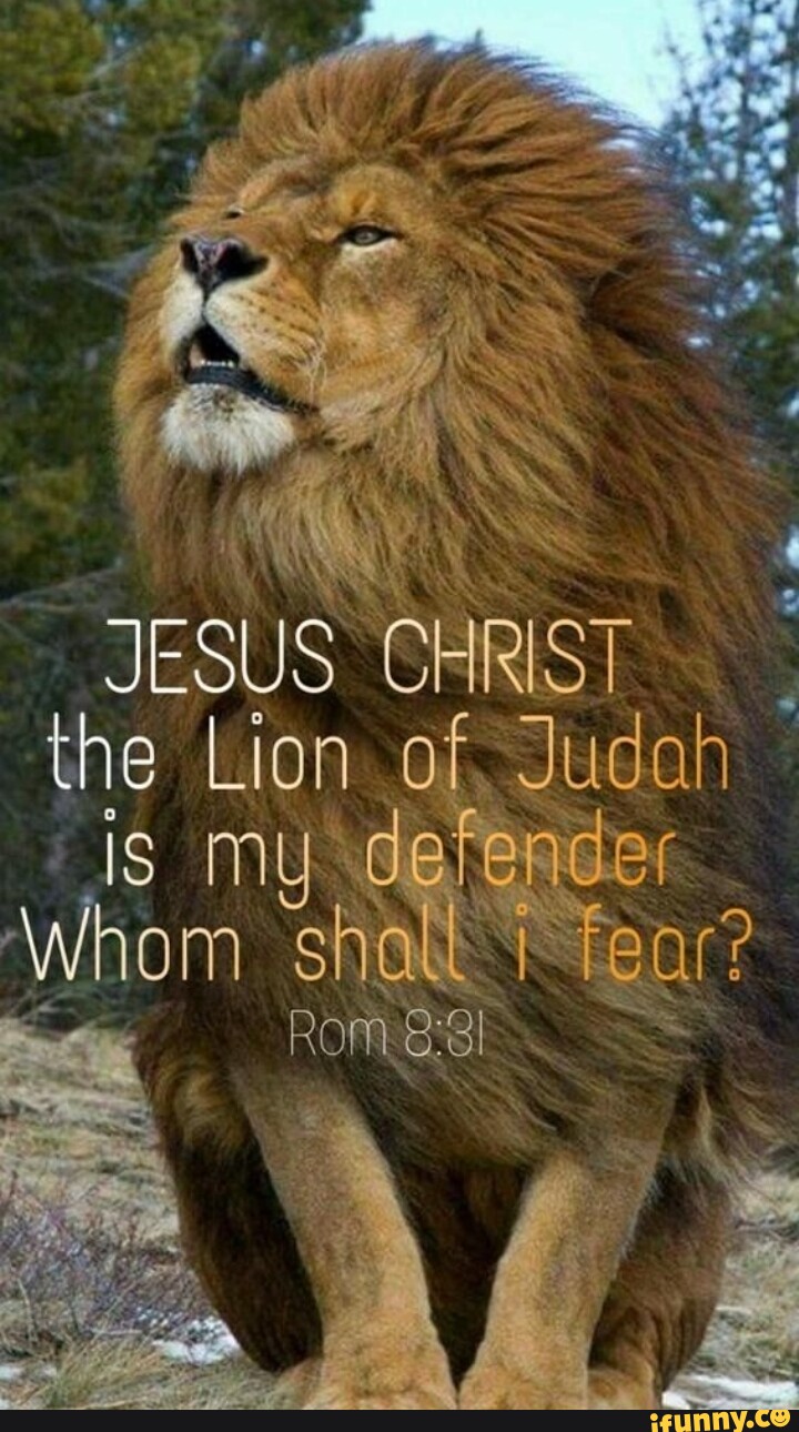 JESUS CHRIST the Lion of Judah is my defender Whom shalt fear? Rom ...