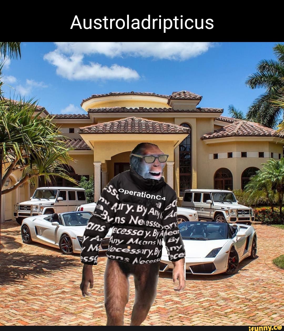 Austrolopithecus memes. Best Collection of funny Austrolopithecus ...