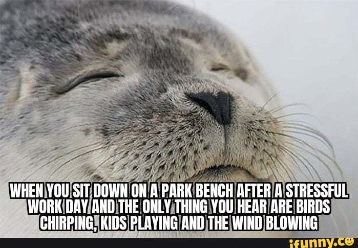 WHEN YOU SIT DOWN ON A PARK BENCH AFTER A STRESSFUL WORK BAY AND THE ...