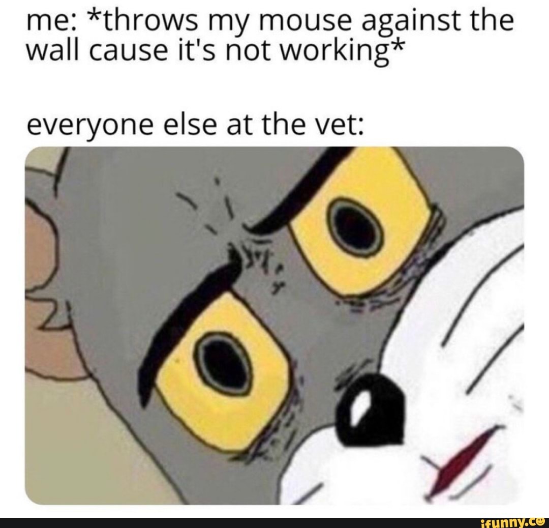 Me: *throws my mouse against the wall cause It's not workmg* everyone ...