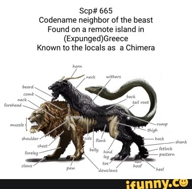 Scp# 665 Codename neighbor of the beast Found on a remote island in ...