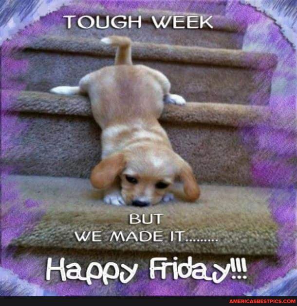 Happy Friday.... #Catwoman - BUT WE MABE Haooy TOUGH WEEK - America’s ...