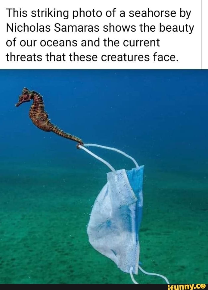 Samaras memes. Best Collection of funny Samaras pictures on iFunny