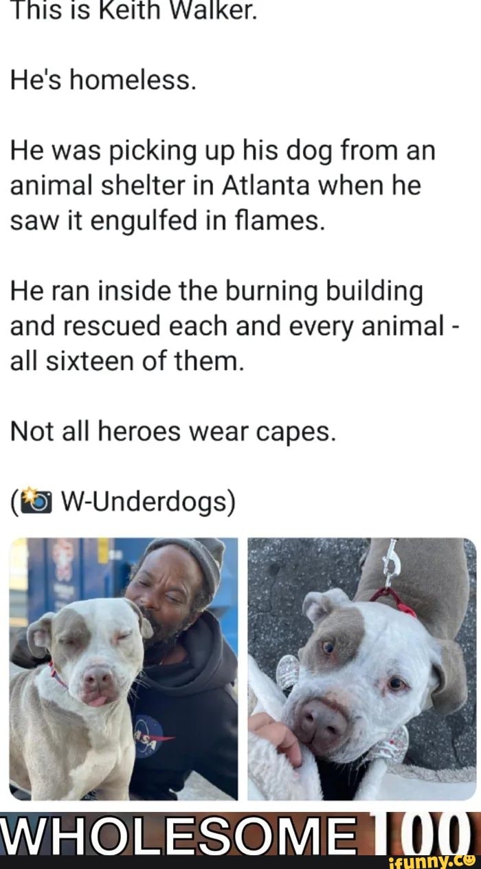 This is Keith Walker. He's homeless. He was picking up his dog from an ...