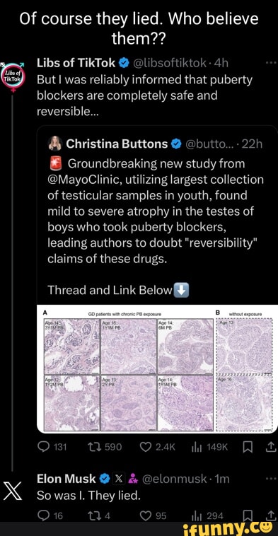 Groundbreaking memes. Best Collection of funny Groundbreaking pictures ...