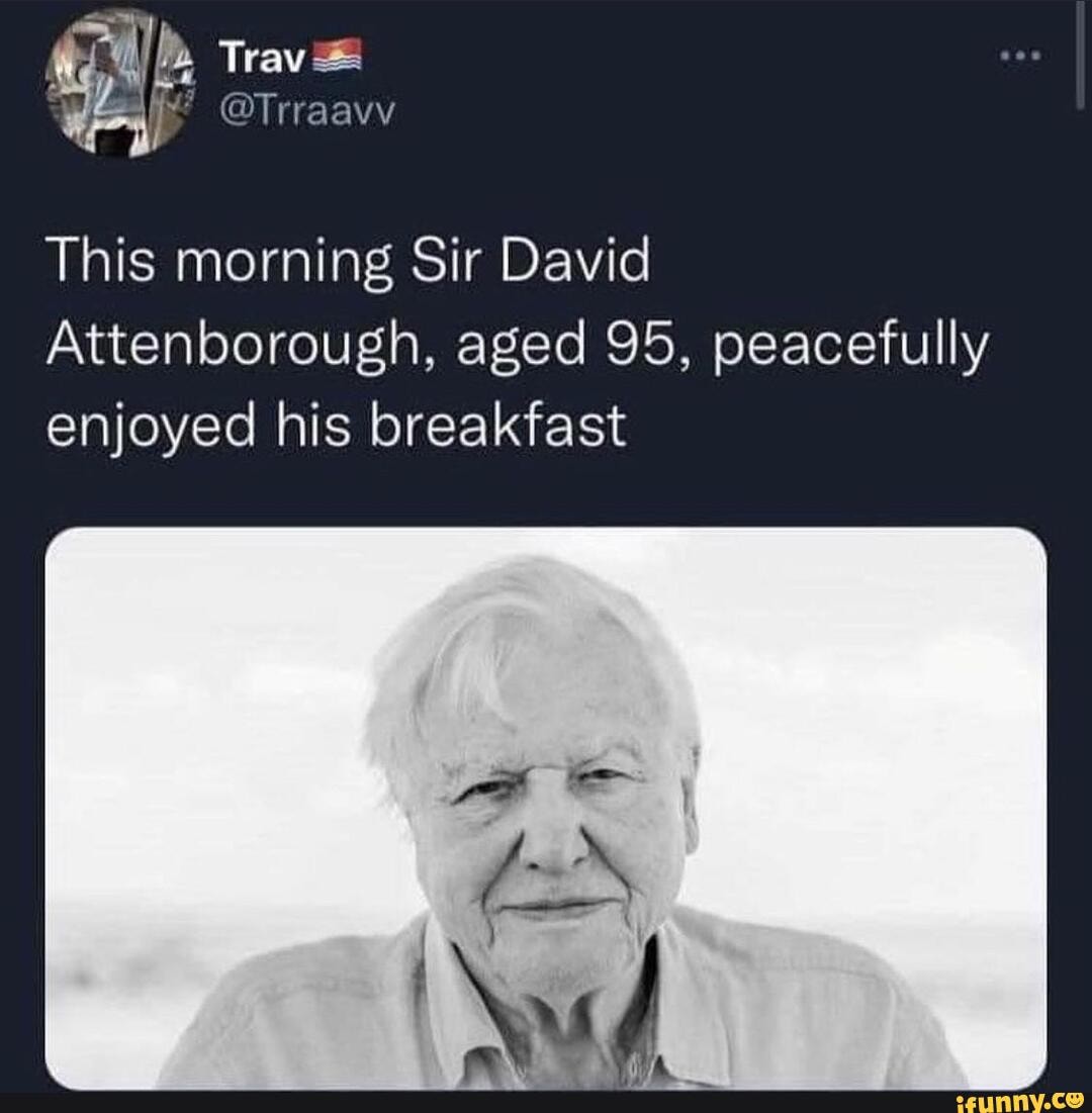 This morning Sir David Attenborough, aged 95, peacefully enjoyed his ...