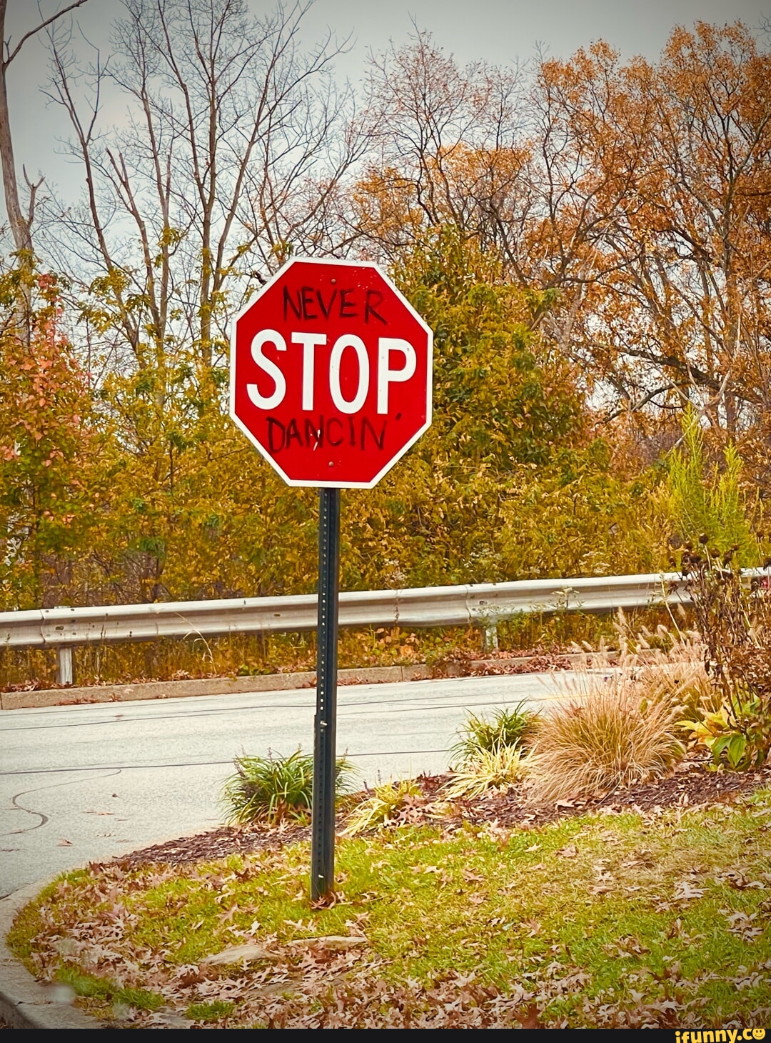 Stopsign memes. Best Collection of funny Stopsign pictures on iFunny