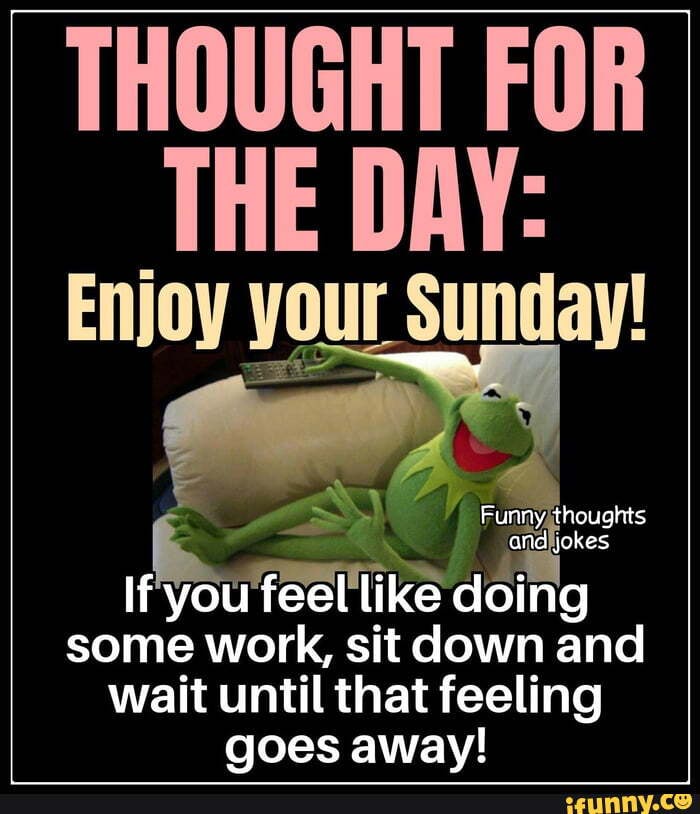 THOUGHT FOR THE DAY: Enjoy your Sunday! Funny thoughts and jokes If you ...