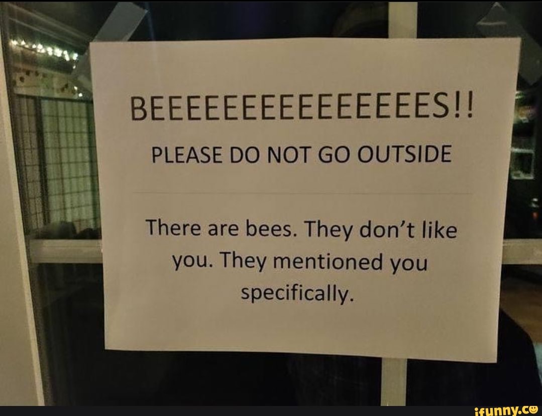 You Bee Crazy, Lady - The Cross Time Café