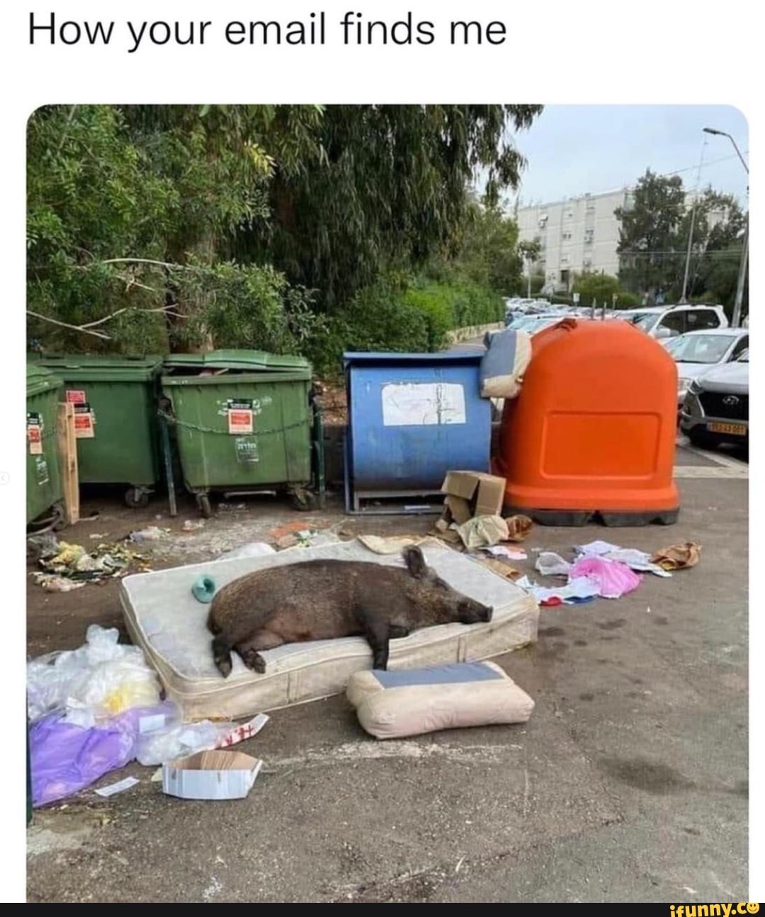 How your email finds me To - iFunny