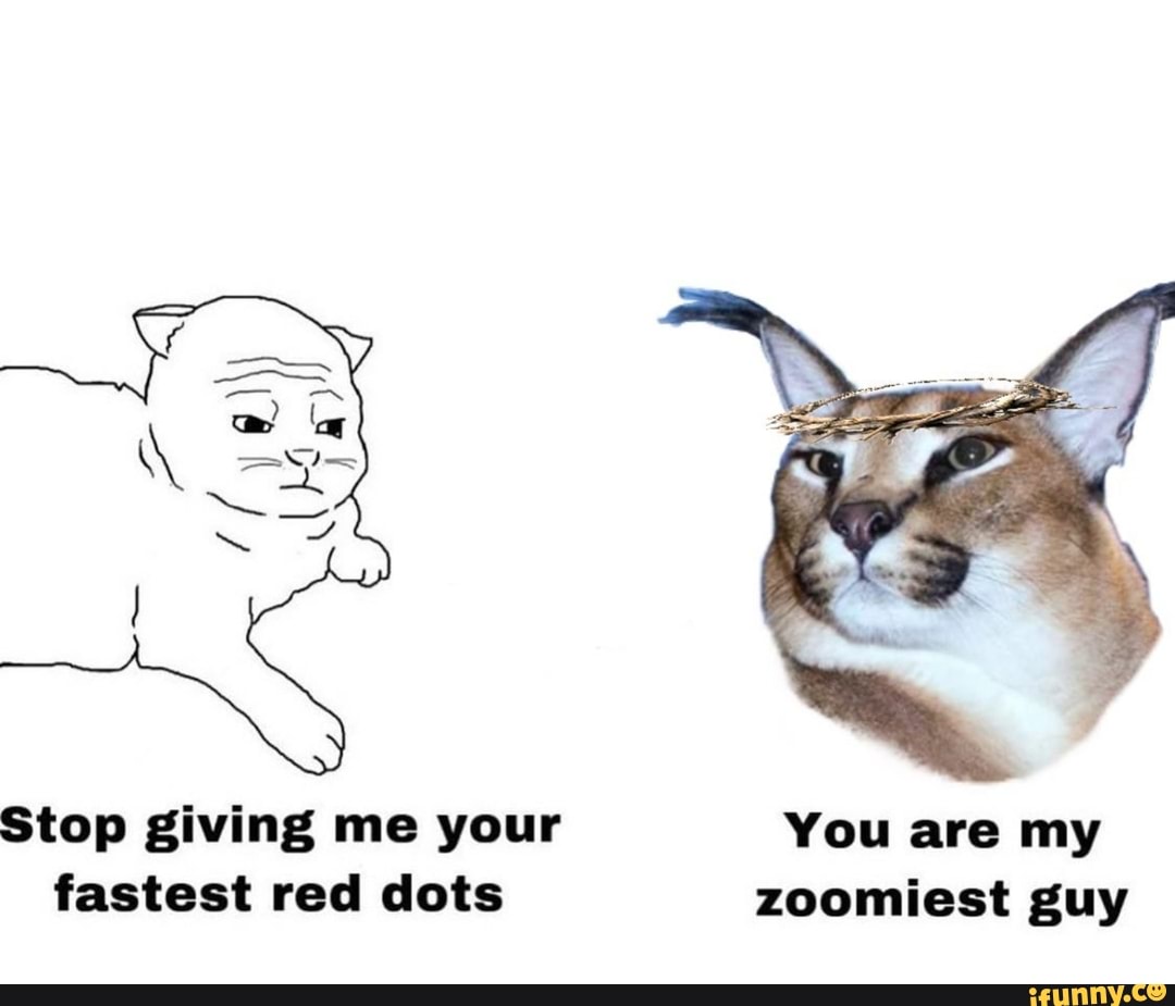 Stop giving me your You are my fastest red dots zoomiest guy - iFunny