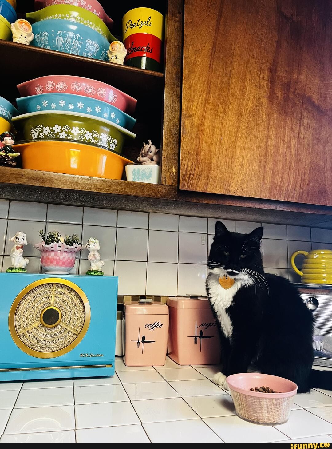 Moop memes. Best Collection of funny Moop pictures on iFunny