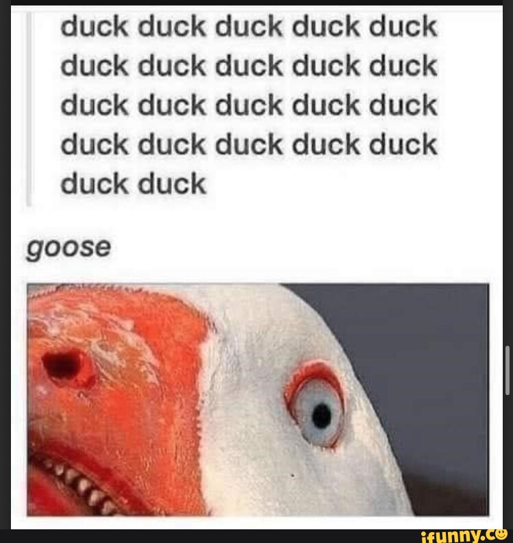 Duck duck duck duck duck duck duck duck duck duck duck duck duck duck ...