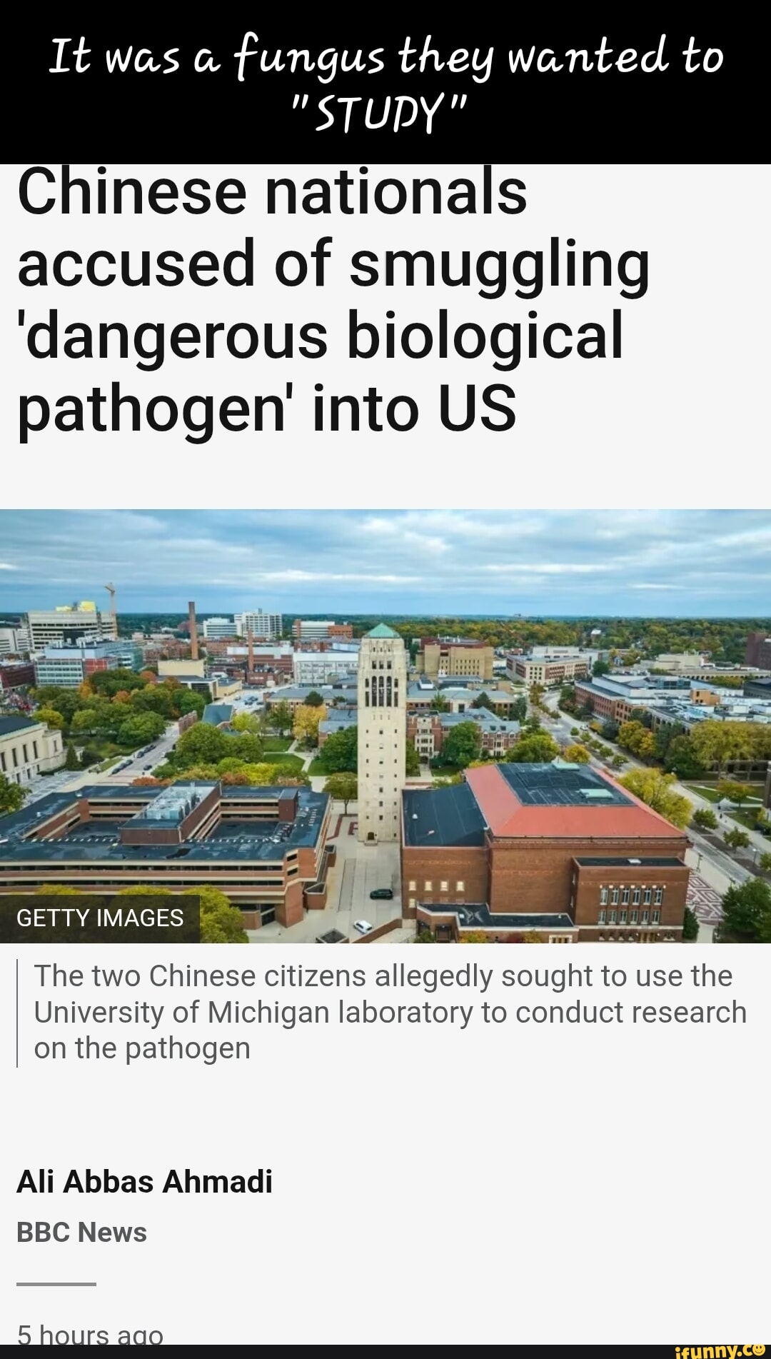 Fungus memes. Best Collection of funny Fungus pictures on iFunny