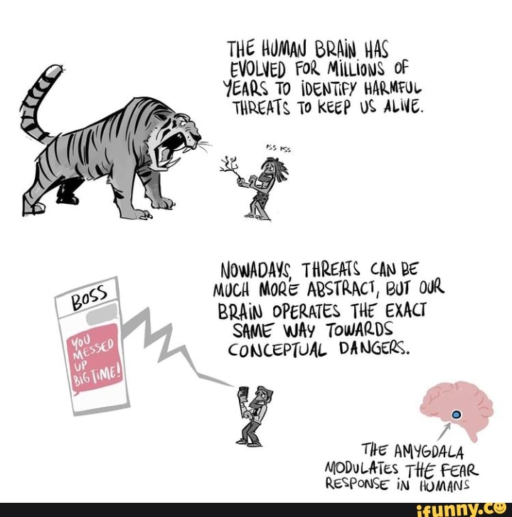 THE HUMAN BRAIN HAS EVOLVED FOR MilLionS oF YEAQS TO iDENTIFY HARMFUL ...