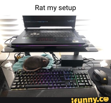 Rat my setup - iFunny