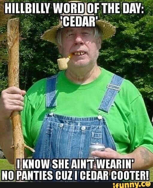 HILLBILLY WORD OF THE DAY: CEDAR' SHE NO PANTIES CUZI CEDAR COOTEST ...