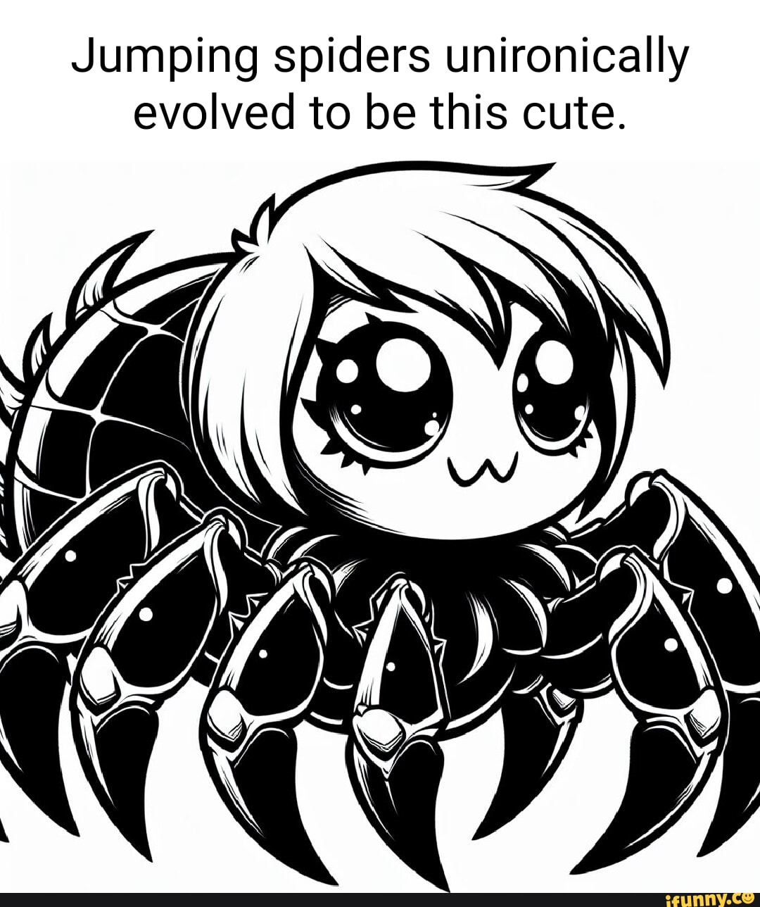 Jumping spiders unironically evolved to be this cute. - iFunny