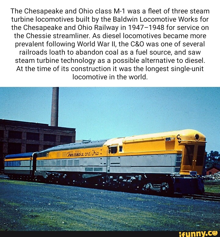 Chessie memes. Best Collection of funny Chessie pictures on iFunny