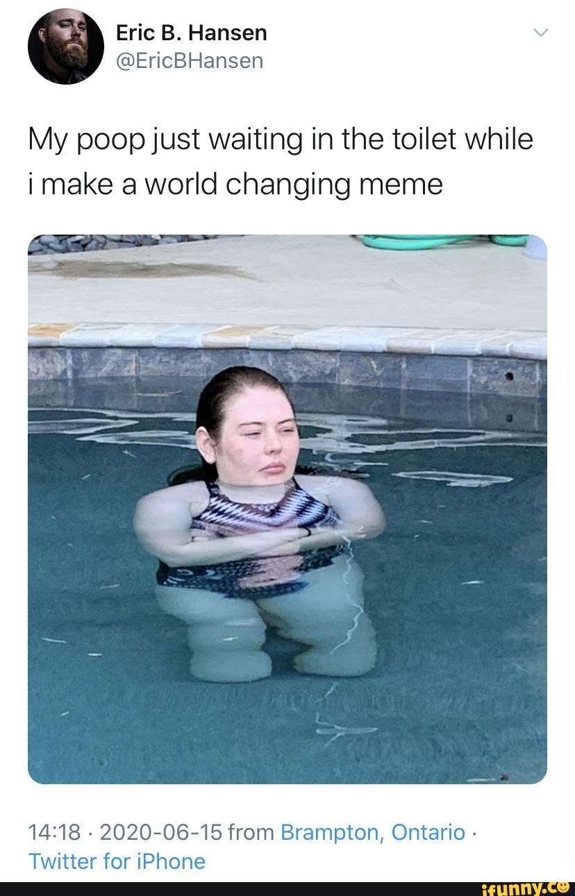 My poop just waiting in the toilet while imake a world changing meme ...