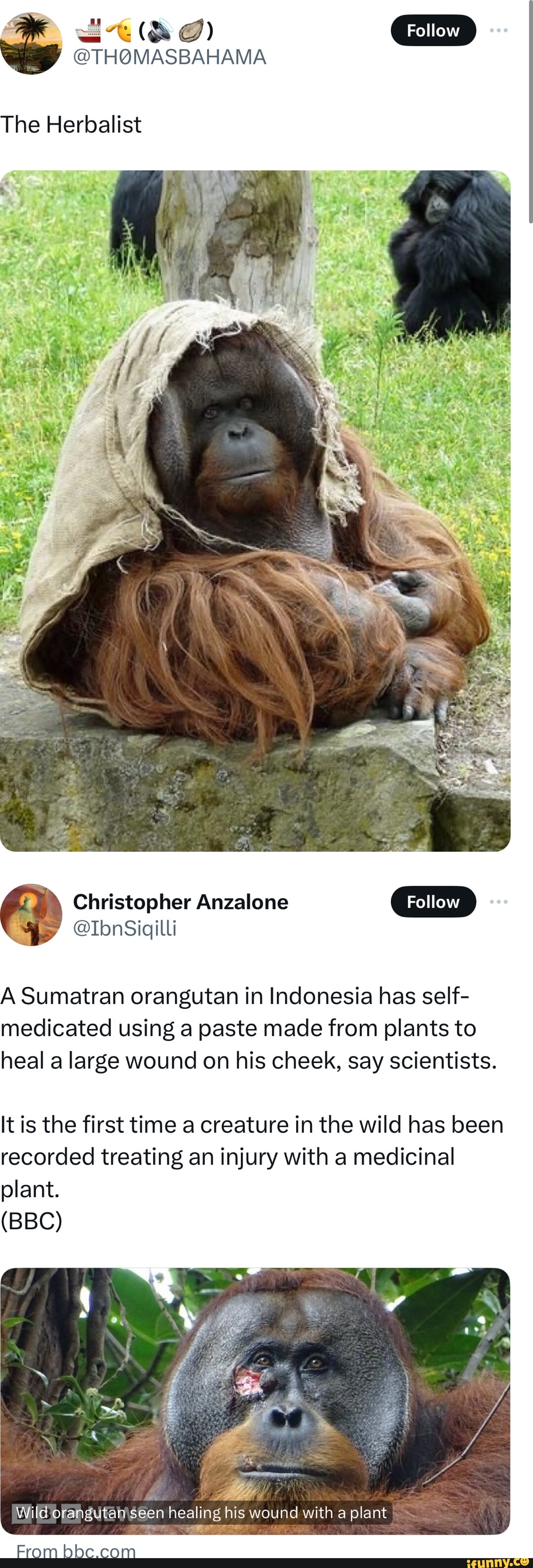 Wound memes. Best Collection of funny Wound pictures on iFunny