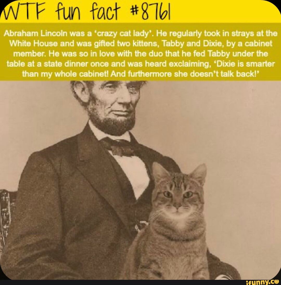 Cabine memes. Best Collection of funny Cabine pictures on iFunny