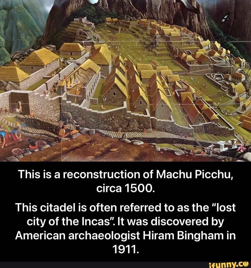 Peabodymuseum memes. Best Collection of funny Peabodymuseum pictures on ...