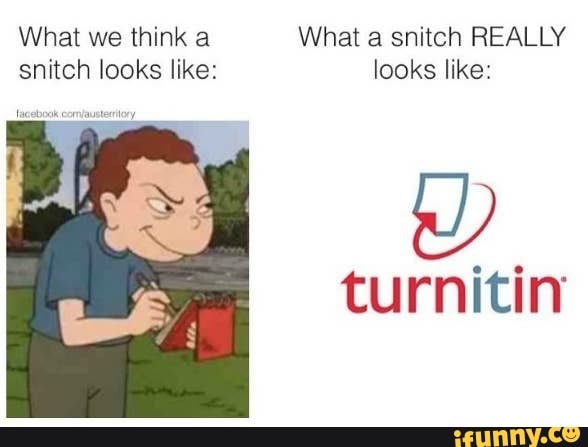 Turnitin memes. Best Collection of funny Turnitin pictures on iFunny