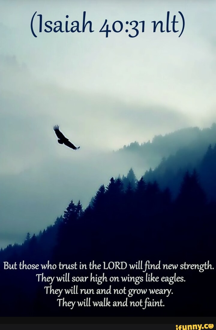 Soar memes. Best Collection of funny Soar pictures on iFunny