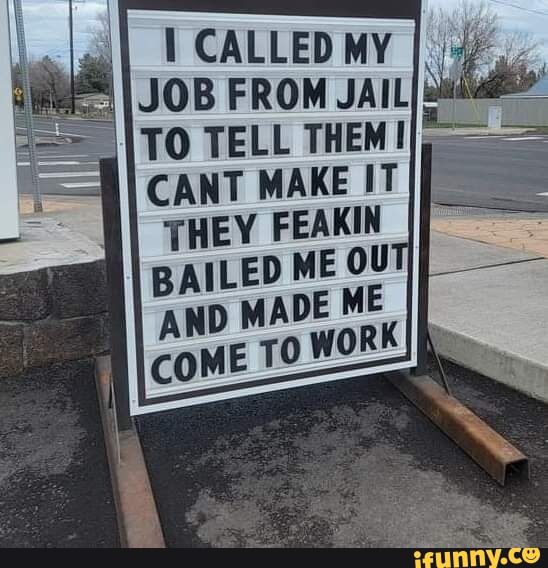 On a scale of guinea pig, how are you feeling today? - iFunny