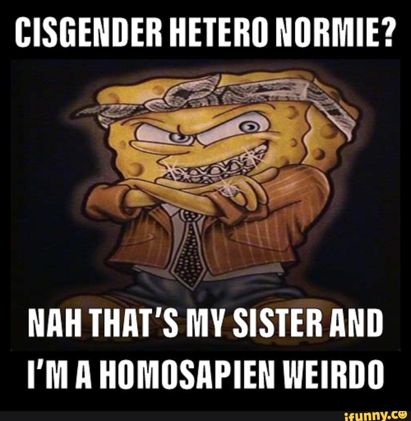 Hetero Memes