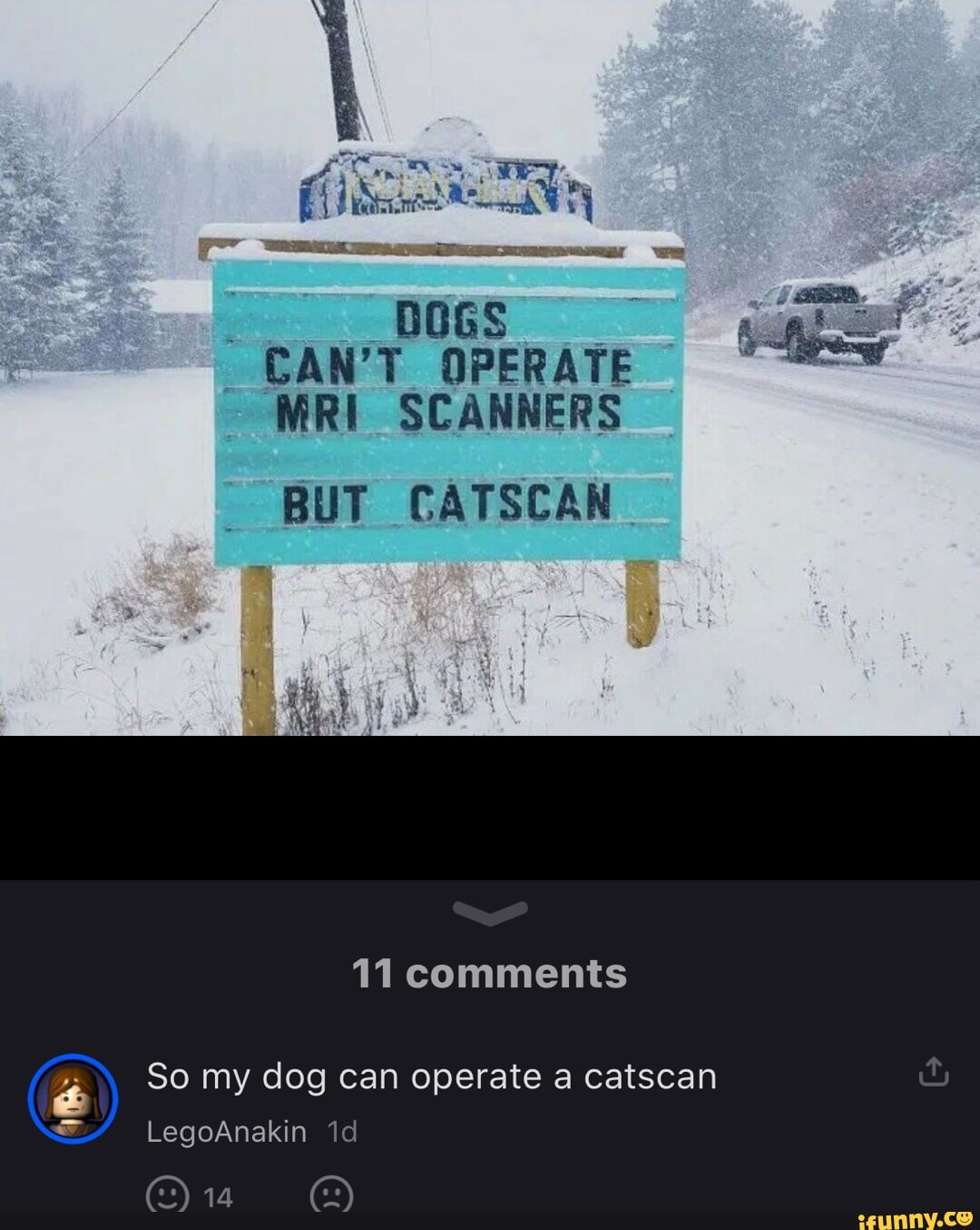 Catscan memes. Best Collection of funny Catscan pictures on iFunny