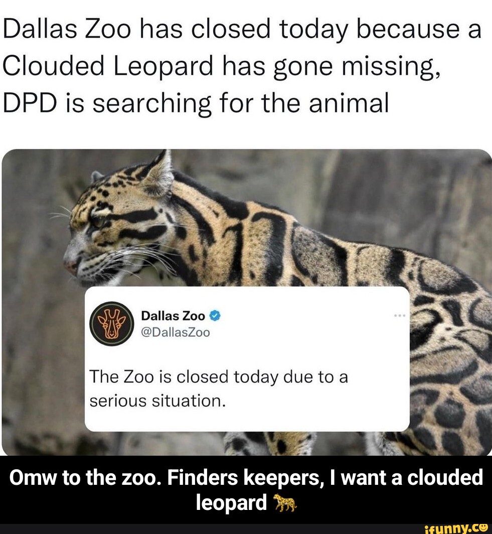 Dpd memes. Best Collection of funny Dpd pictures on iFunny