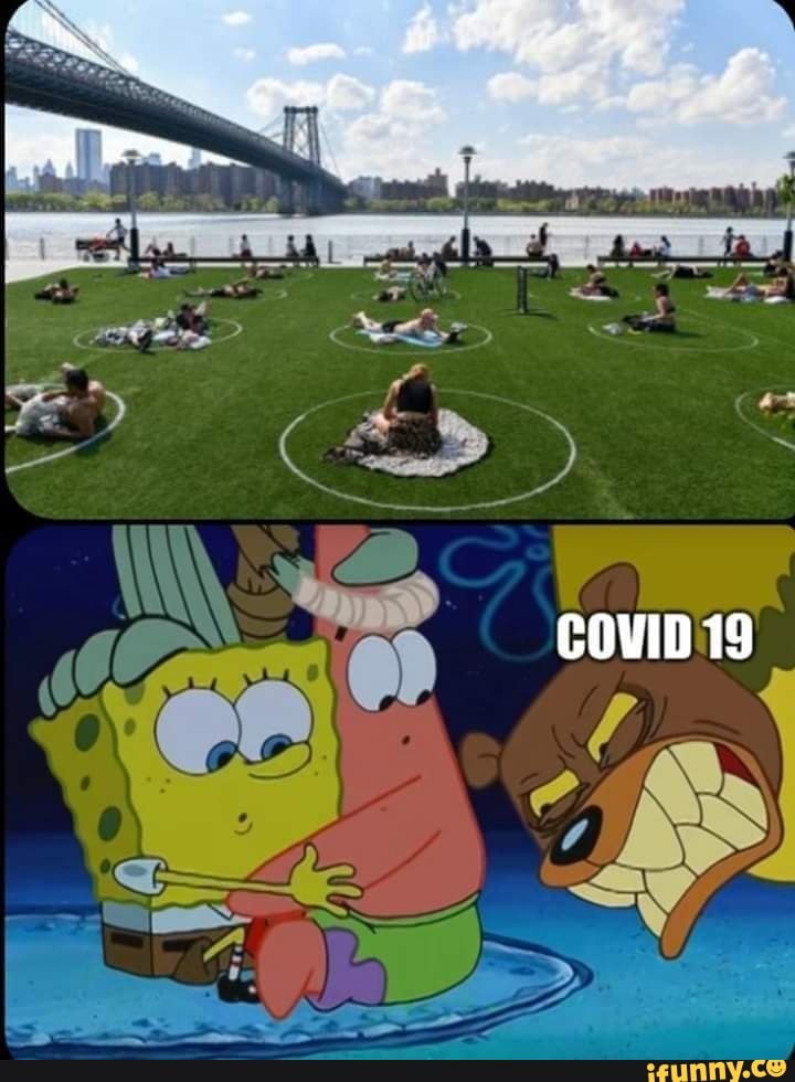 Seabears memes. Best Collection of funny Seabears pictures on iFunny