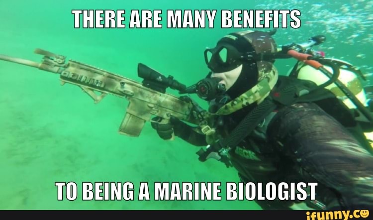 THERE ARE MANY BENEFITS SOSES- TO BEING A MARINE BIOLOGIST - iFunny