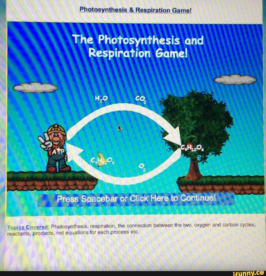 The Photosynthesis And Respiration Game Topics Covered Photosynthesis