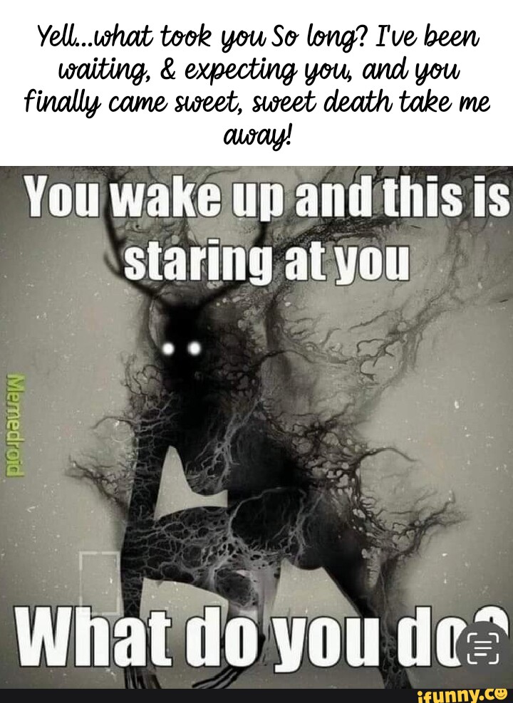 Yell... what took you So long? I've been waiting, & expecting you, and you finally came sweet ...