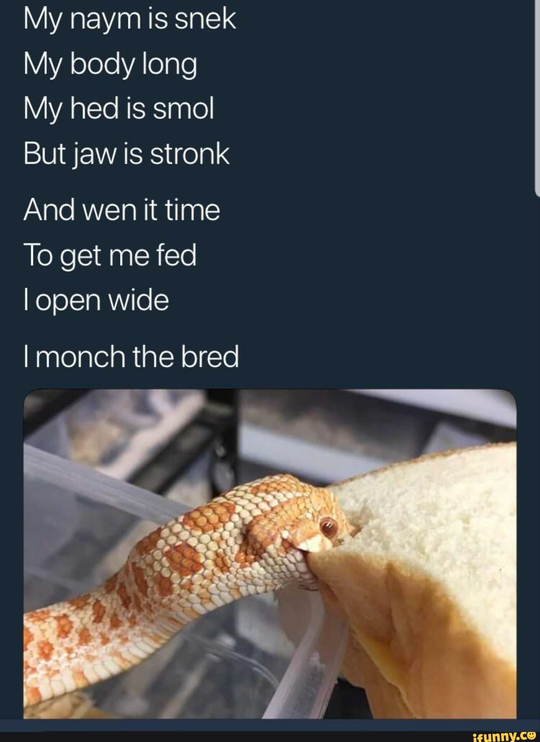 My naym is snek My body long My hed is smol But jaw is stronk And wen ...