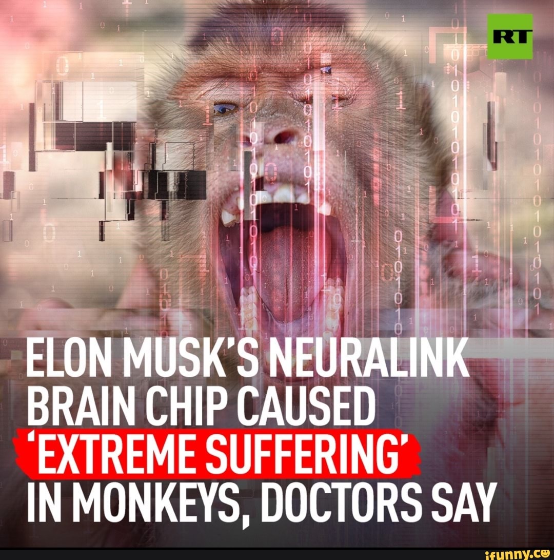 ELON MUSK'S NEURALINK BRAIN CHIP CAUSED EXTREME SUFFERING' IN MONKEYS ...